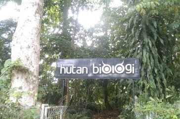 Water-Efficient Landscaping at UGM: Implementing Drought-Tolerant Plant ...